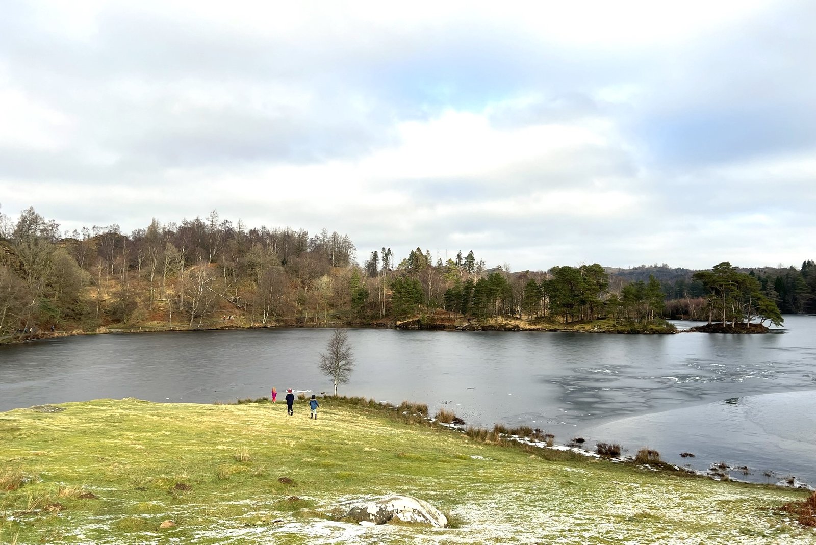 Tarn Hows Circular Walk - Lake District with Kids