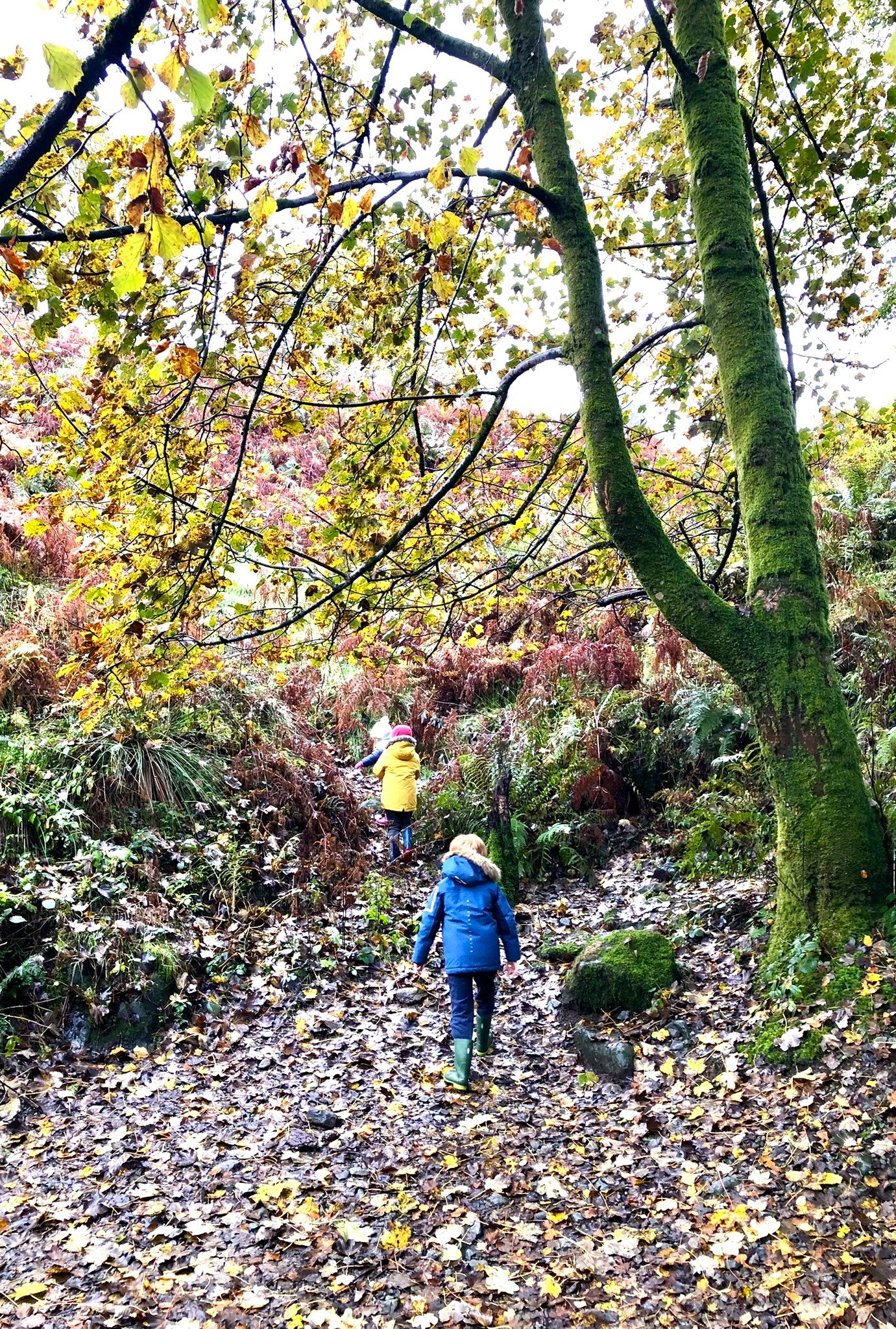 Sizergh Castle Lake District With Kids
