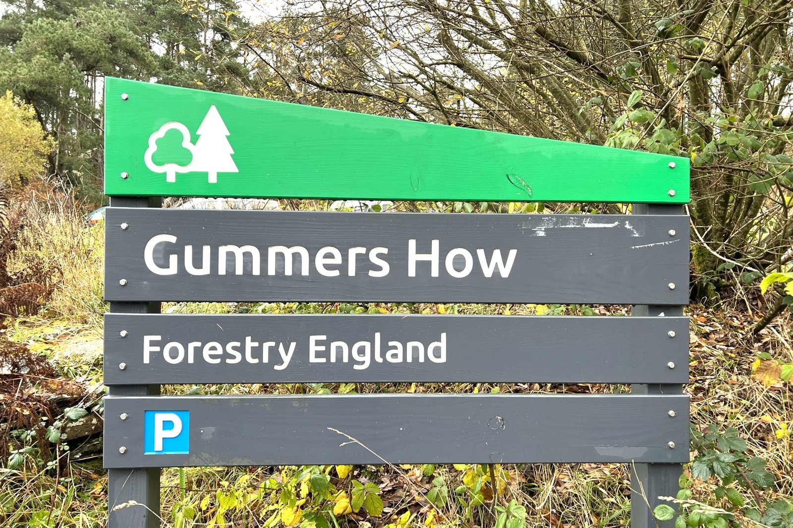 Gummers How - Lake District with Kids