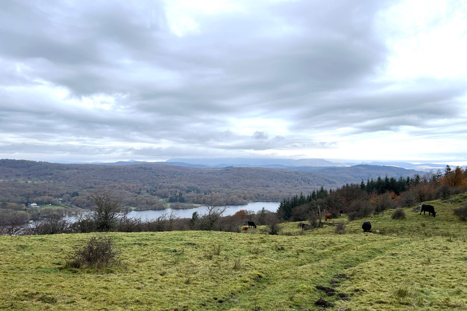 Gummers How - Lake District with Kids