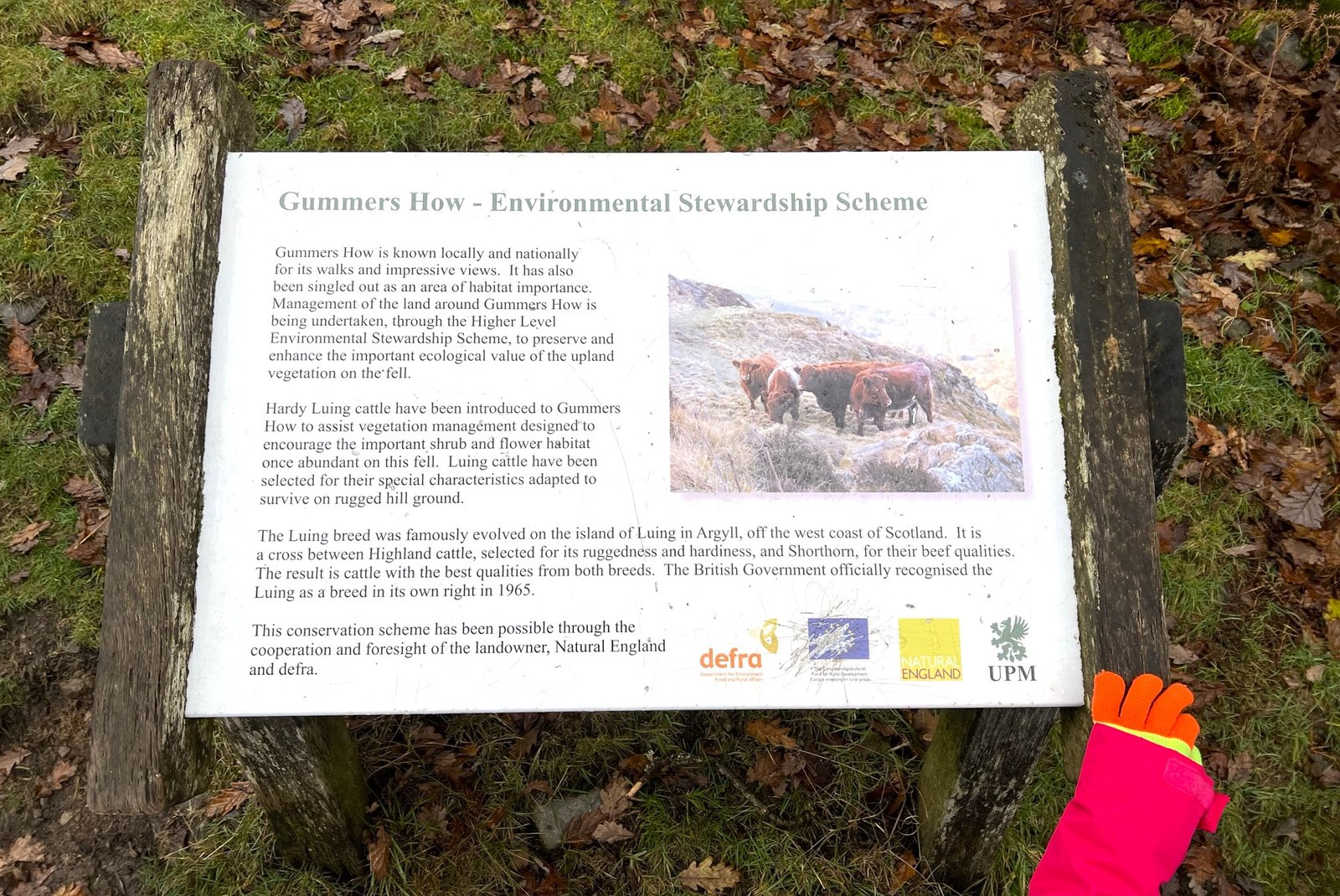 Gummers How - Lake District with Kids