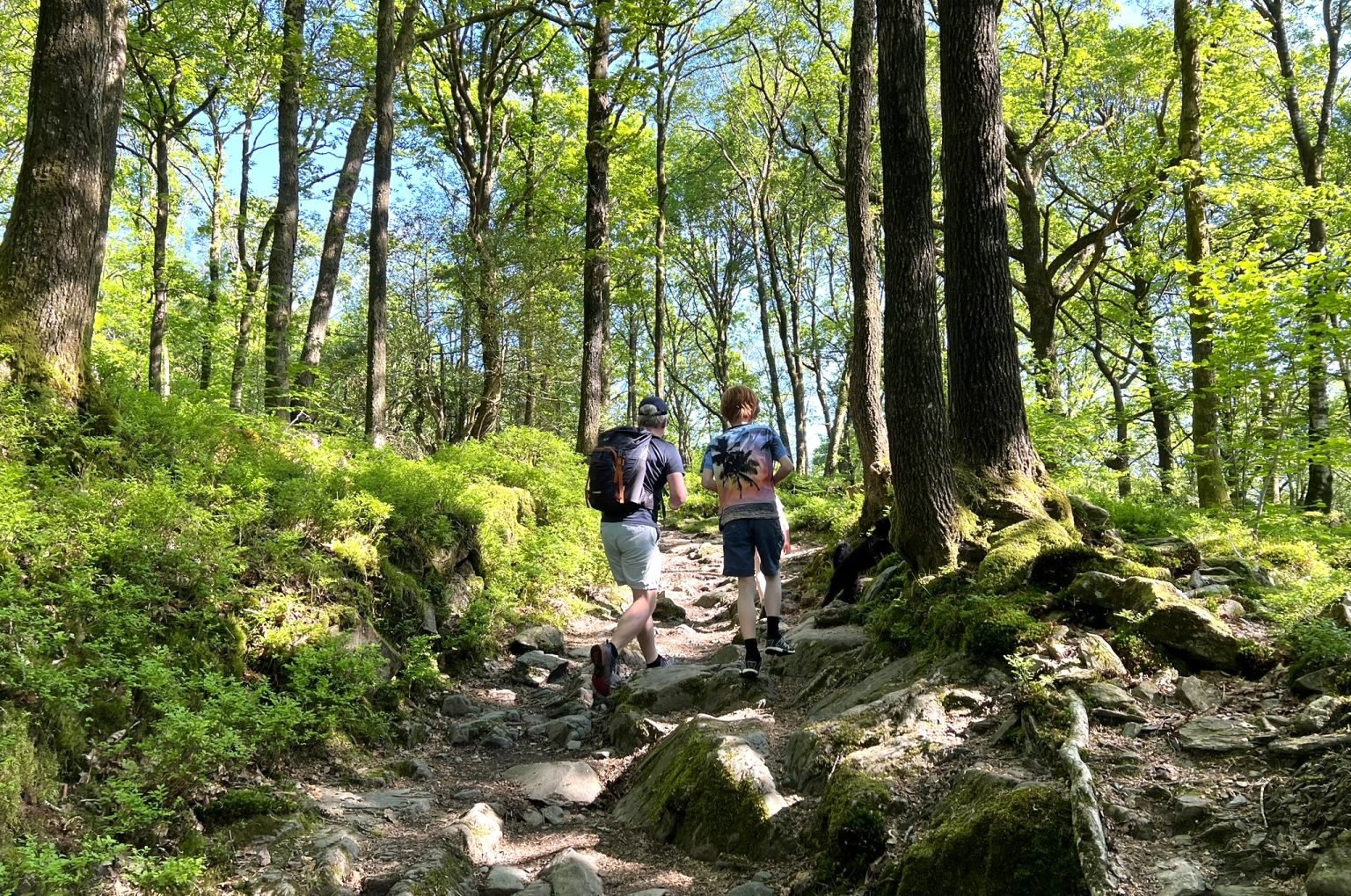 High Dam Walk - Lake District with Kids