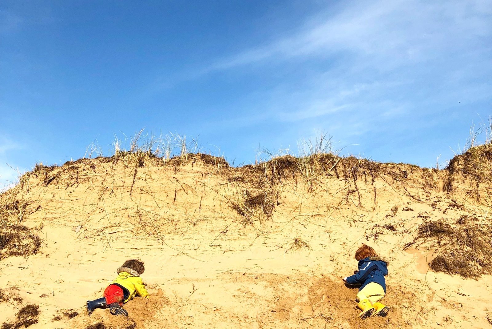 31 Free Things to do in the Lake District - Lake District with Kids