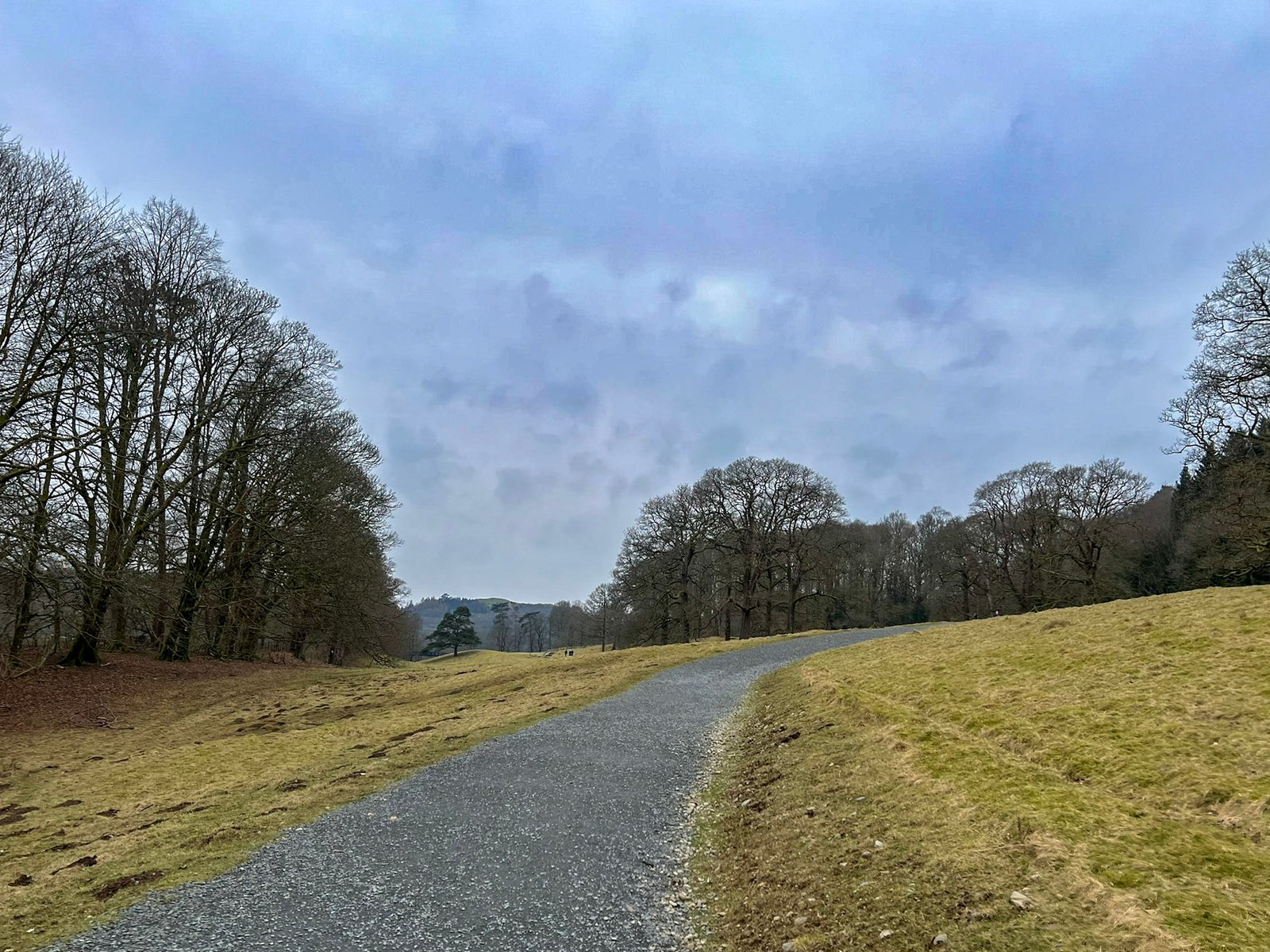 West Windermere Way: Lakeside to Newby Bridge - Lake District with Kids