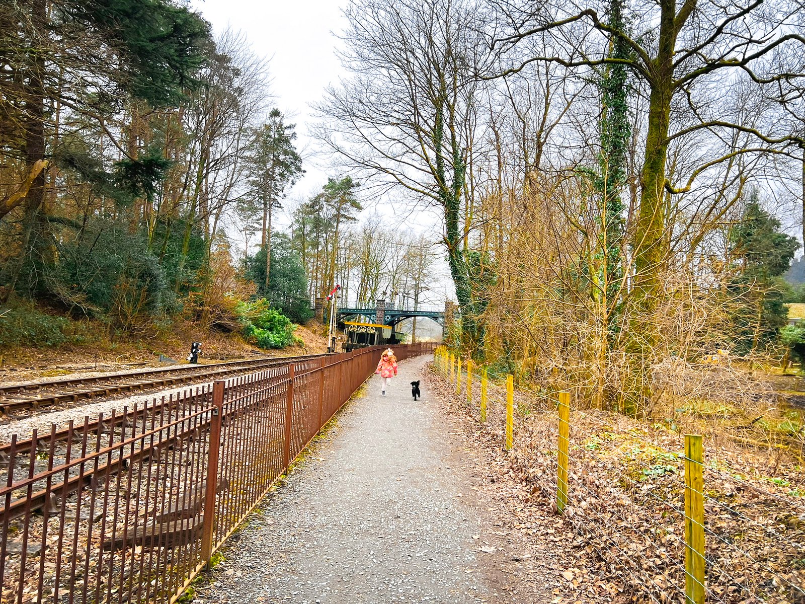 West Windermere Way: Lakeside to Newby Bridge - Lake District with Kids