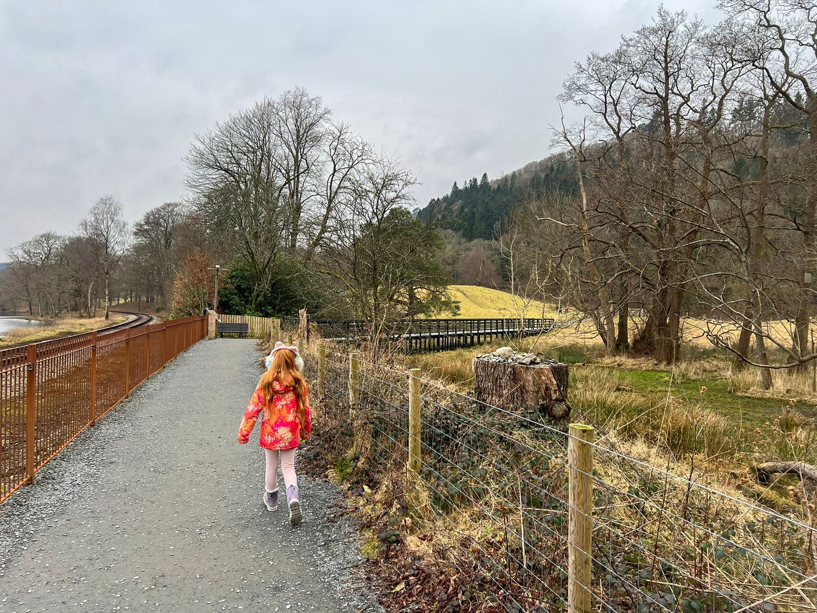 West Windermere Way: Lakeside to Newby Bridge - Lake District with Kids