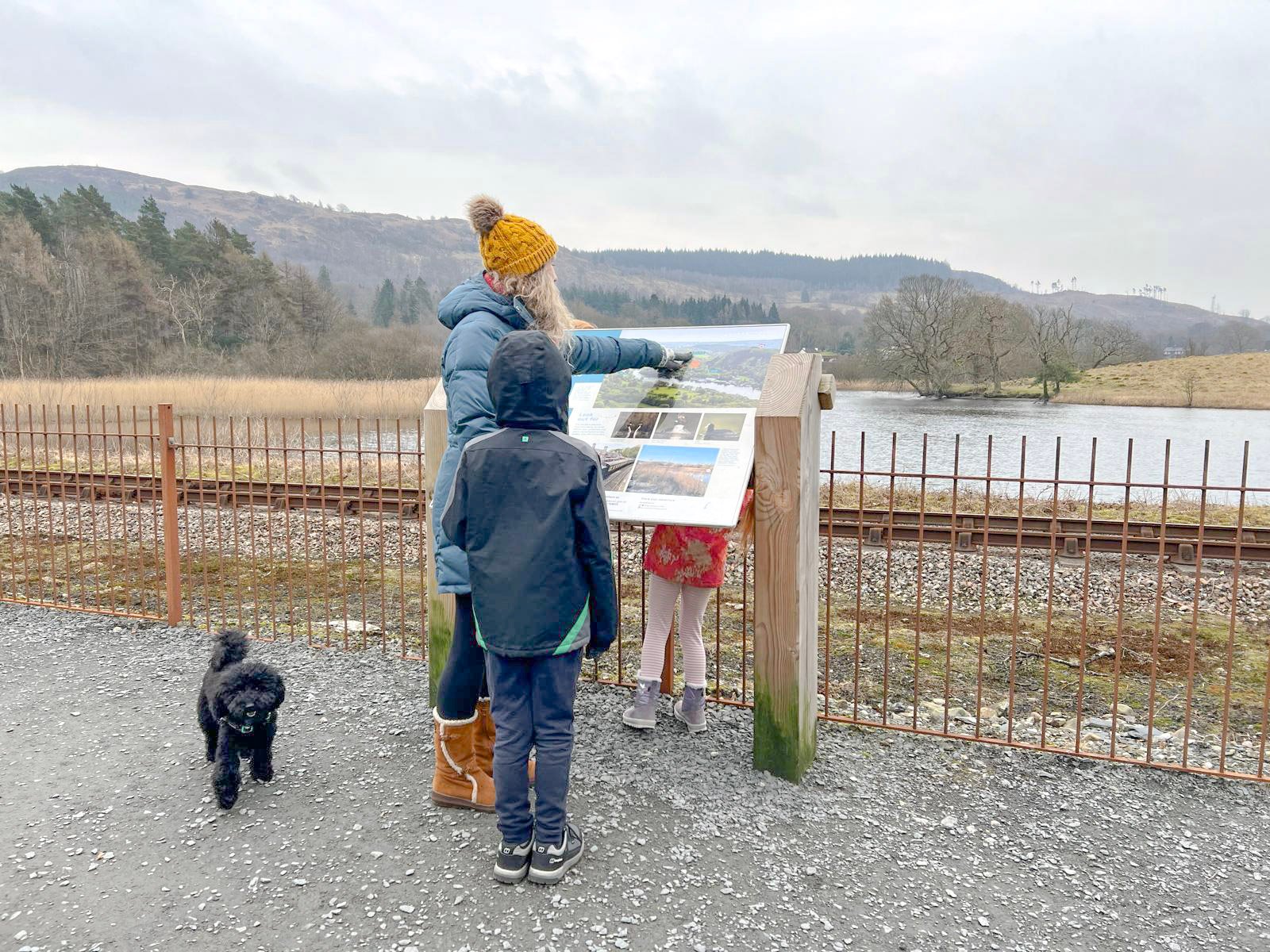 West Windermere Way: Lakeside to Newby Bridge - Lake District with Kids