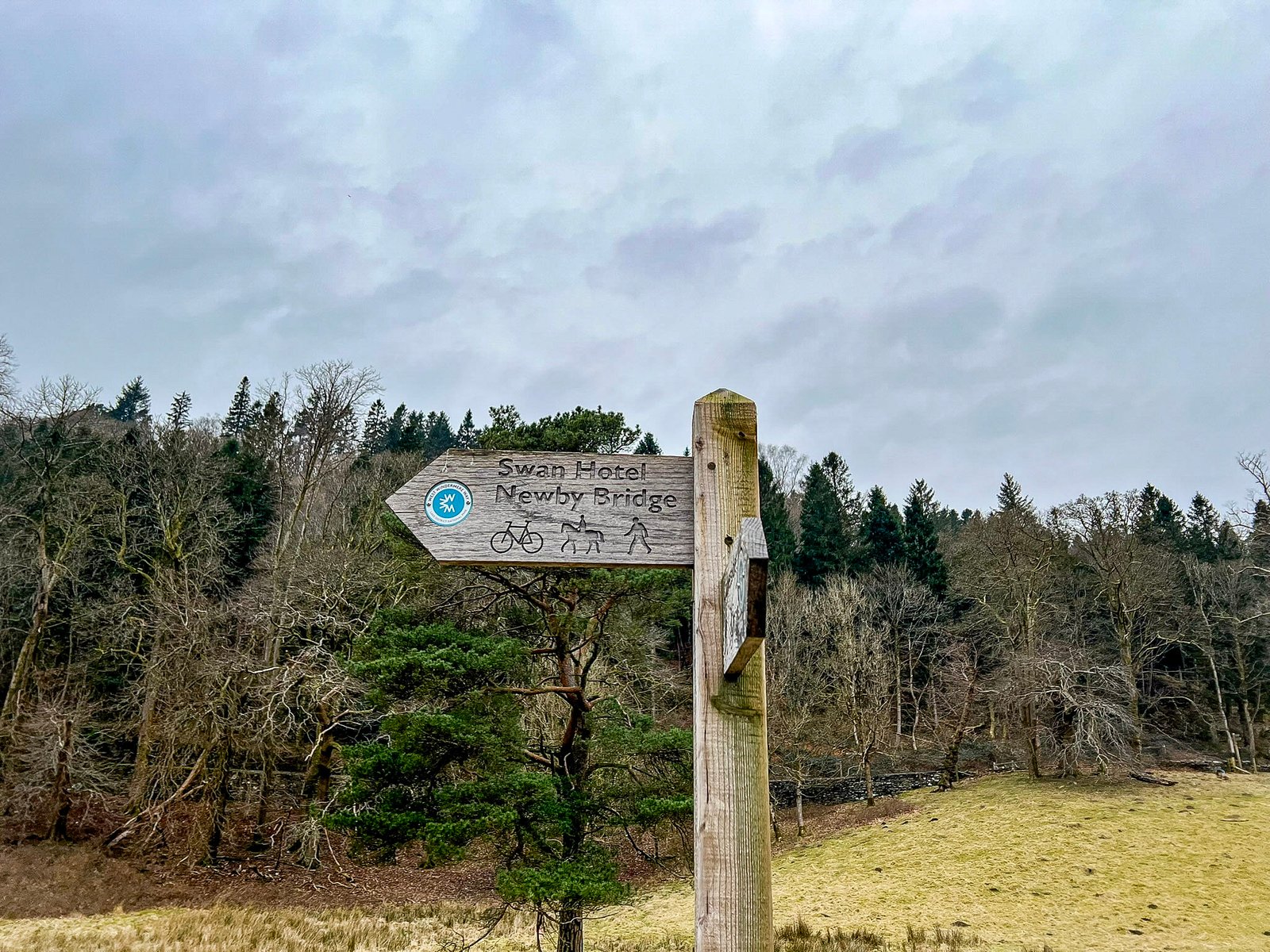 West Windermere Way: Lakeside to Newby Bridge - Lake District with Kids