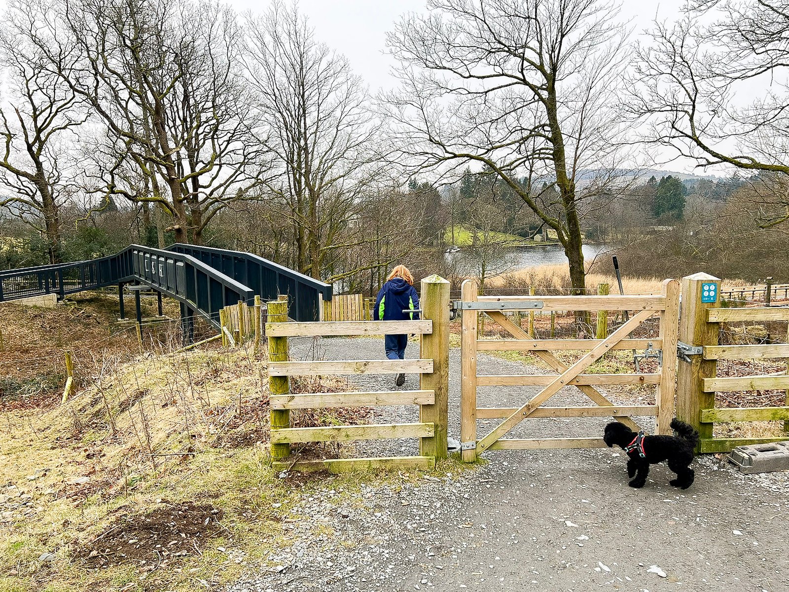 West Windermere Way: Lakeside to Newby Bridge - Lake District with Kids