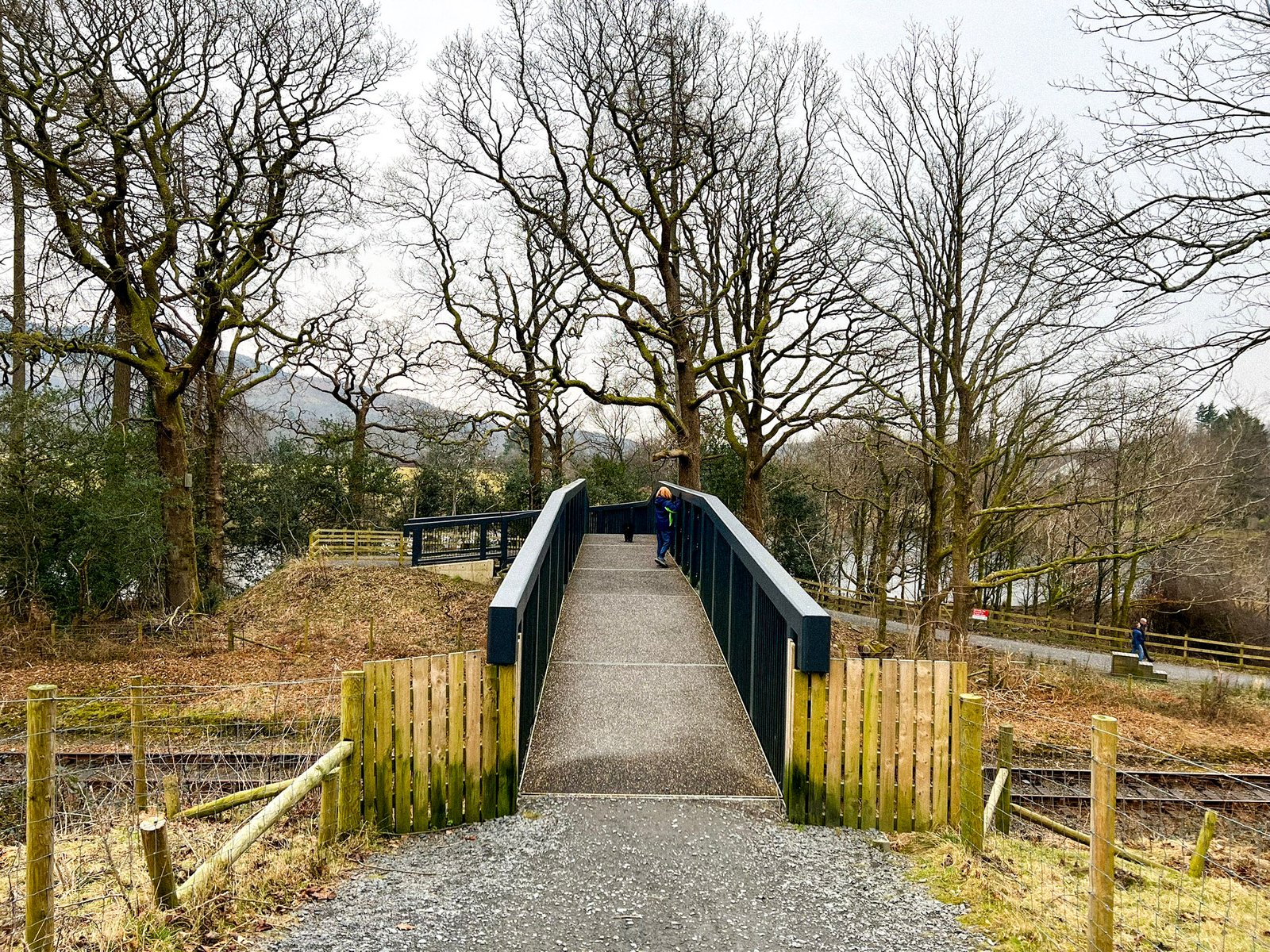 West Windermere Way: Lakeside to Newby Bridge - Lake District with Kids