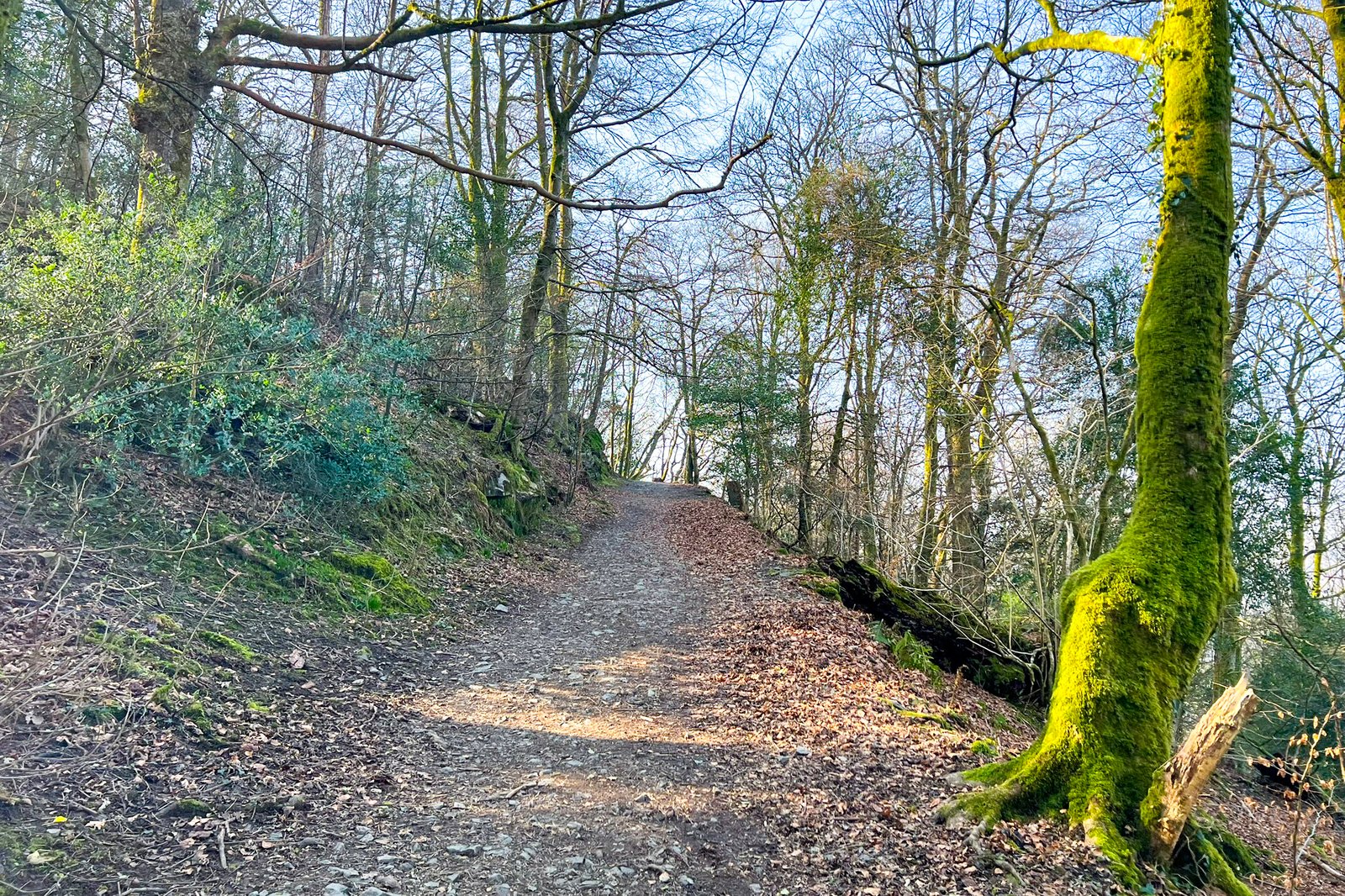 Bowness on Windermere Walks: Brant Fell Viewpoint - Lake District with Kids