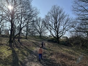 Bowness on Windermere Walks: Brant Fell Viewpoint - Lake District with Kids