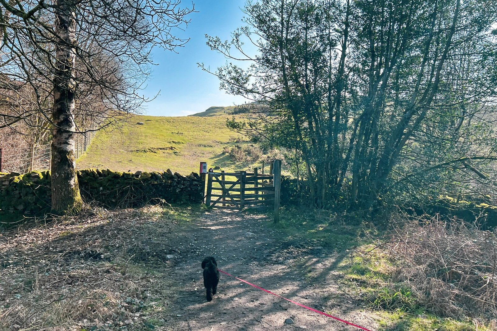 Bowness on Windermere Walks: Brant Fell Viewpoint - Lake District with Kids