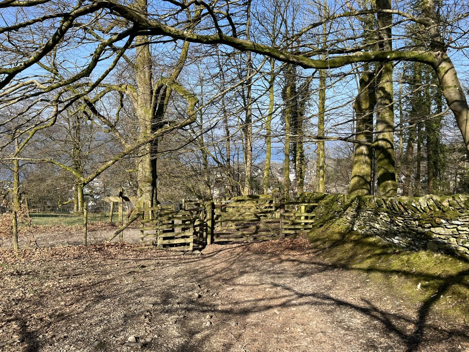Bowness on Windermere Walks: Brant Fell Viewpoint - Lake District with Kids