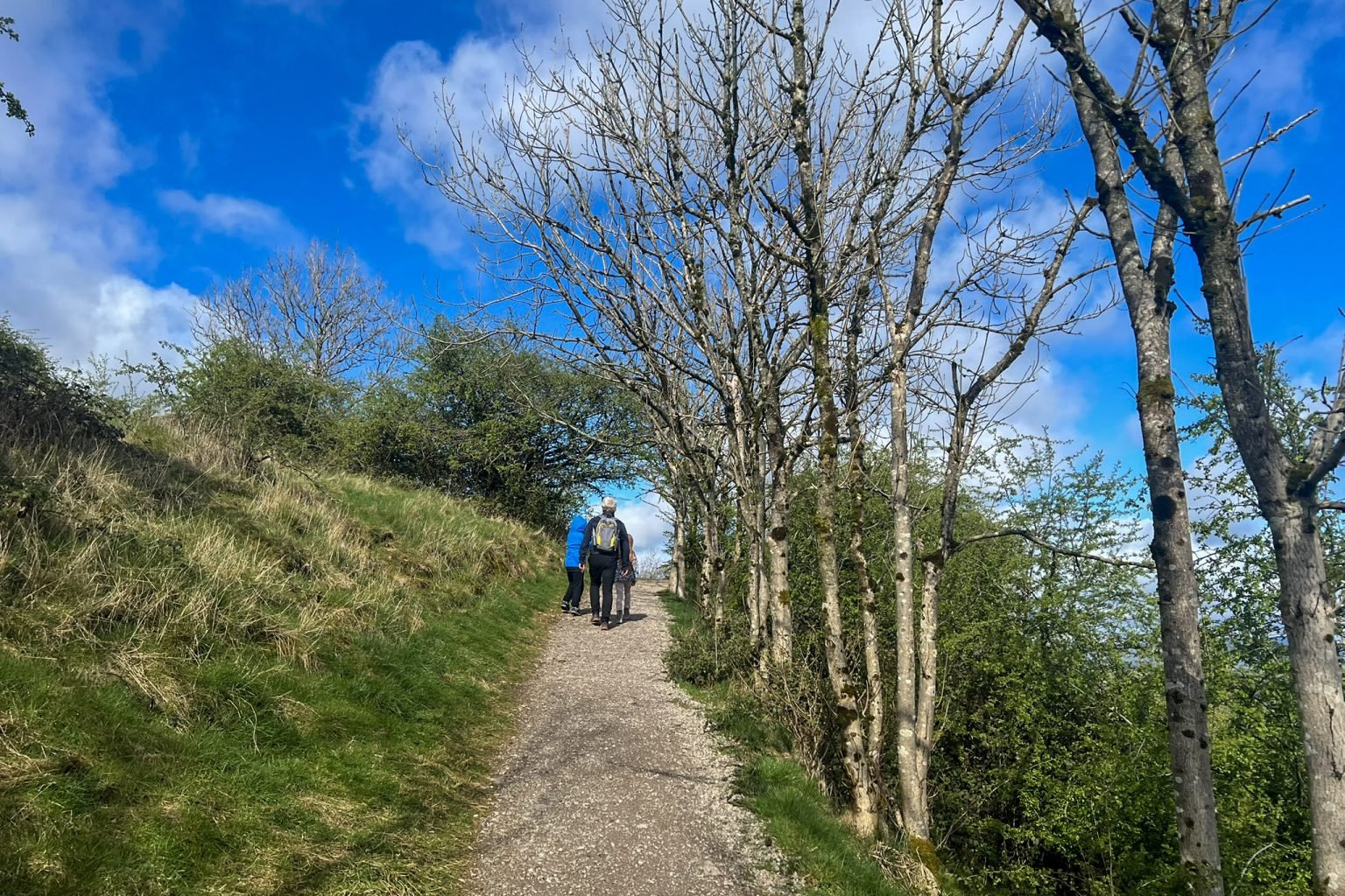 Scout Scar - Lake District with Kids